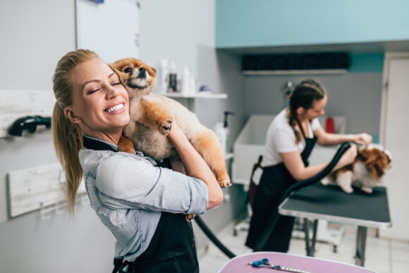 How to Prepare a Puppy for Their First Grooming Visit - Just Four Paws ...